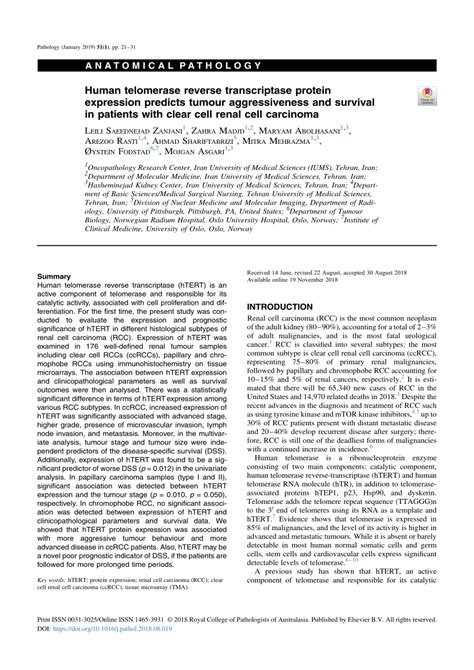 Pdf Human Telomerase Reverse Transcriptase Protein Expression