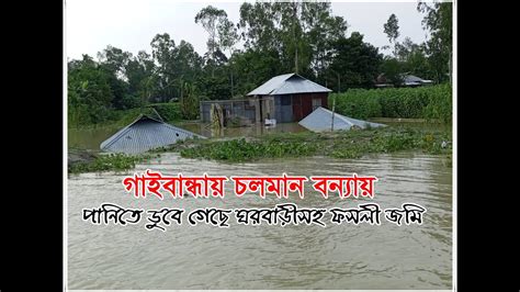 গাইবান্ধায় বন্যা পরিস্থিতির অবনতি পানি বন্দি হাজারও মানুষ Flood News