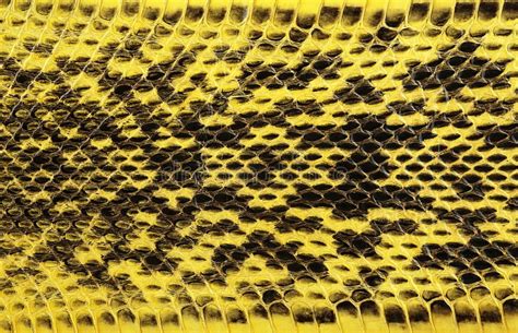 Yellow Python Leather Skin Texture For Background Stock Image Image