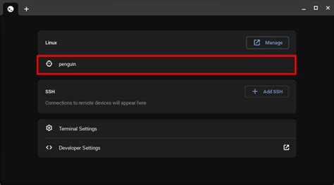 How To Open The Linux Terminal On Chromebook Thecoderworld