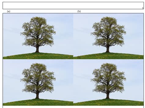 How Can I Get Rid Of The Extra White Space Of Figures Tex Latex