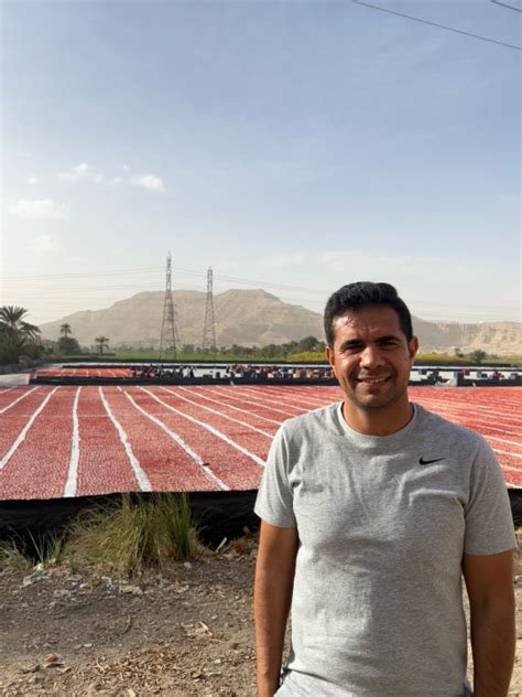 Mohamed Shehata Posted On Linkedin