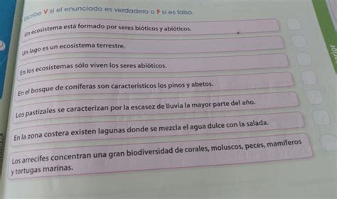 Escribe Una V S Es Verdadero O Una F Si Es Falso Seg N Hot Sex Picture Hot Sex Picture