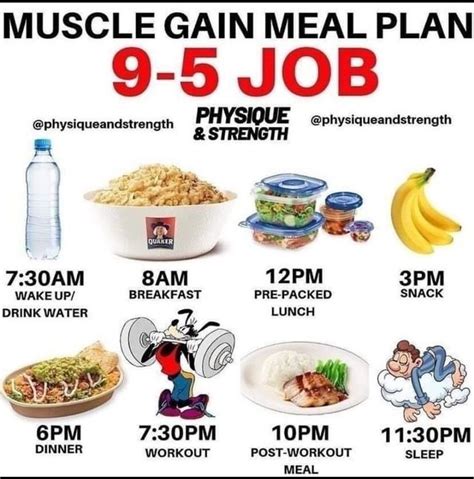Muscle Building Meal Plan Artofit