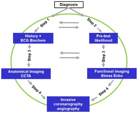 Oversimplified Scheme For Diagnosis Of Ccs Considering 4 Different Steps Download Scientific
