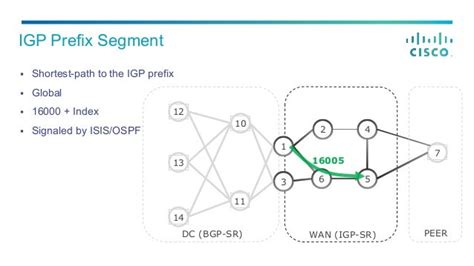 Traffic Engineering Using Segment Routing
