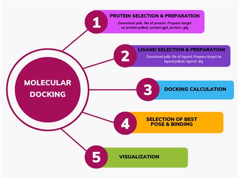 3d And 2d Visualization Of Molecular Docking Results Of A🤫 Descubra O