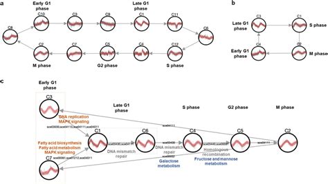 Cluster Network Of Yeast Cell Cycle Dataset By Tracs Using A Degs