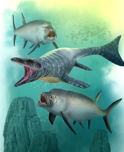 Xiphactinus And Mosasaurus Collecta Animal Figurines