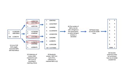 Flow Chart Showing Each Of The Steps In The Enrichment Analysis