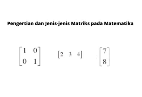 Integer Adalah Salah Satu Tipe Data Dalam Pemrograman Kenalan Bareng