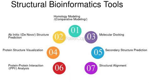 Key Tools In Structural Bioinformatics Jenomu Bioinformatics Posted On The Topic Linkedin