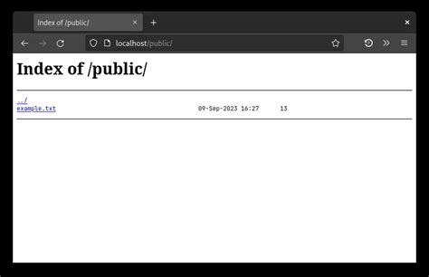 Best Practice Of Nginx File Indexer ｜ Fernvenues Blog
