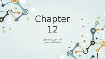 DNA The Genetic Material PowerPoint By Magoos Science TPT