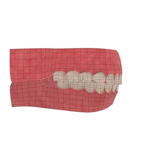 인간의 입 3d 모델 10 Max Fbx Obj Ztl Free3d