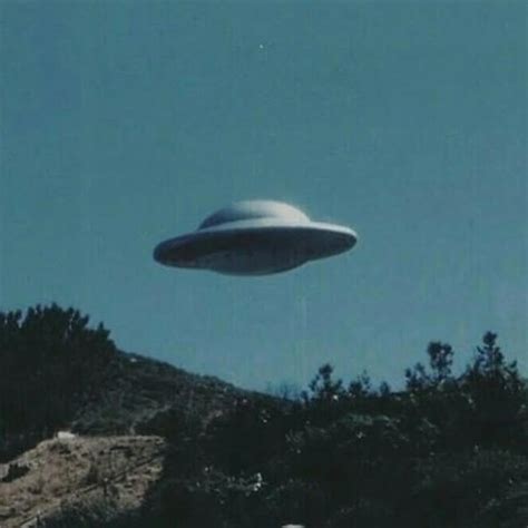 Алибекус Rockeyrocket • Threads Say More