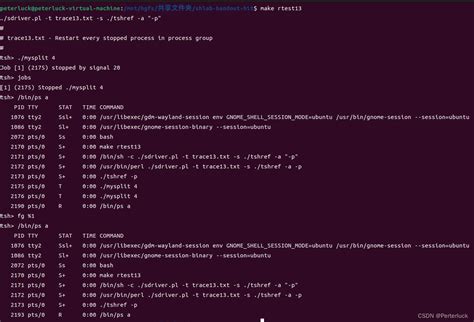 一文读懂CSAPP shell 微壳实验 csapp tinyshell CSDN博客
