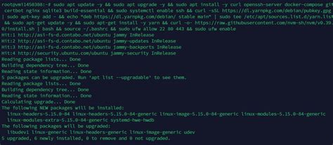 Guide To Run Node Validator Fleek By VNBnode Group