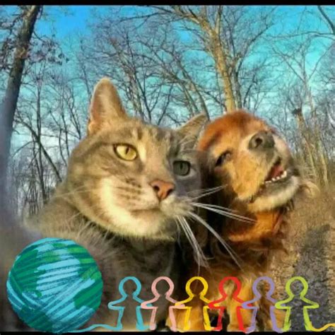 دلم بایسکیل ام