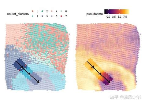 时空轨迹分析导论 知乎