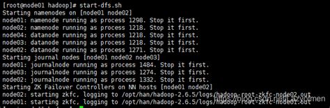 超详细hadoop高可用安装 完结篇 每次启动高可用集群都需要启动journalnode csdn博客