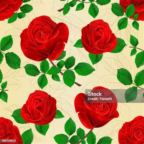 원활한 텍스처 새싹 잎 3 벡터 일러스트 레이 션 손으로 그리는 흰색 배경 세트에 빈티지와 빨간 장미 결혼식에 대한 스톡 벡터 아트 및 기타 이미지 Istock