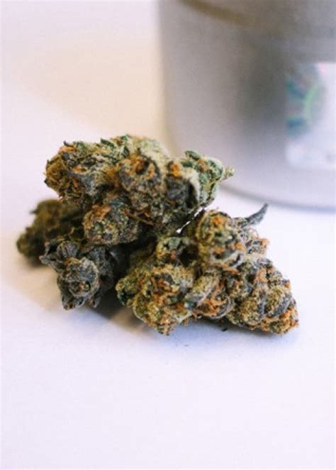 Gsc Girl Scout Cookies Strain Info Gsc Girl Scout Cookies Weed By
