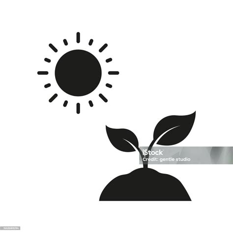 환경 농업 실루엣 아이콘입니다 식물과 태양 글리프 픽토그램 유기농 잎 기호입니다 친환경 정원 가꾸기 태양 단색 표지판 아래 나무 성장 격리된 벡터 그림 0명에 대한 스톡