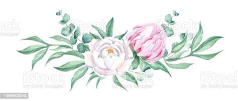 흰색 배경에 격리된 수채화 화환 모란 꽃다발 흰색과 분홍색 모란 유칼립투스 손으로 그린 식물 그림입니다 결혼식 생일 인사말 카드 디자인에 사용할 수 있습니다 개화기에 대한