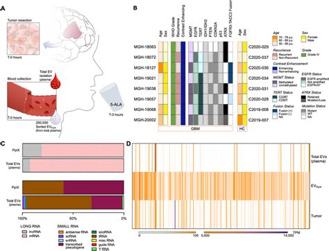 Rna Sequencing Of Matched Evppix Plasma Total Evs And Tumor Tissue A Download Scientific