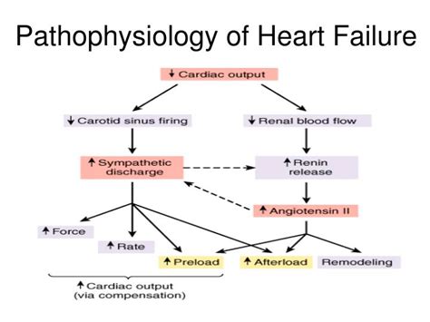 Ppt Contemporary Standards In Treatment Of Chronic Heart Failure