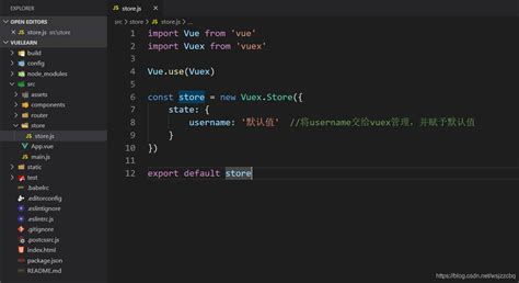 vuex 使用教程 vuex store state设置默认值 csdn博客