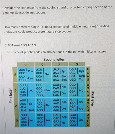 SOLVED Consider The Sequence From The Coding Strand Of A Protein Coding Section Of The Genome