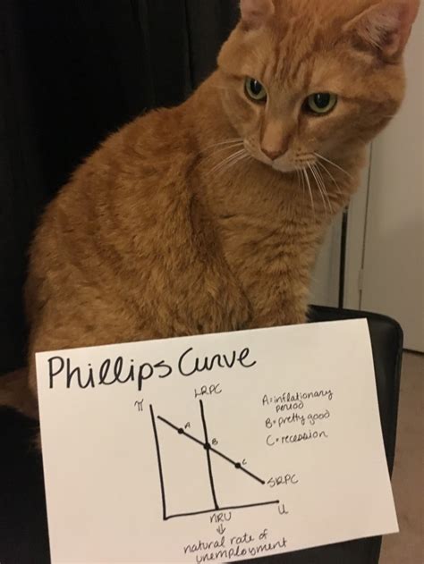 Macroeconomics Project On Tumblr