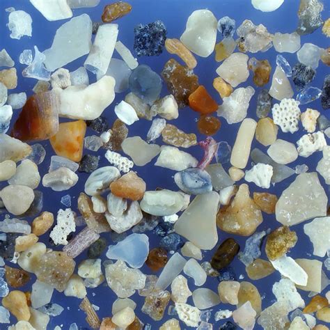 Beach Sand Under Microscope 27 Beach Sand Magnified Ideas Sand