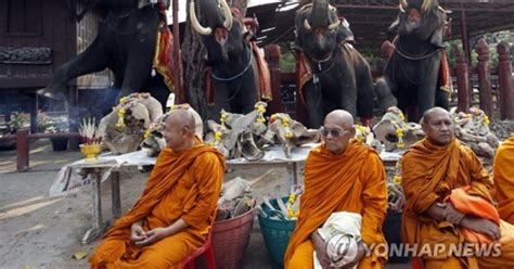 Thailand Elephant Day