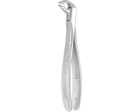 Ash Extraction Forceps At Herman Genovese Blog