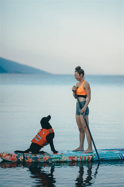 The Ultimate Paddle Boarding With Your Dog Guide And 10 Gears