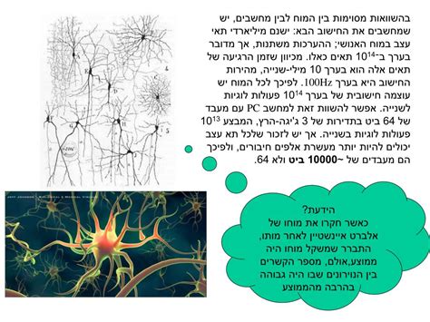 Ppt רשתות נוירונים Powerpoint Presentation Free Download Id861700