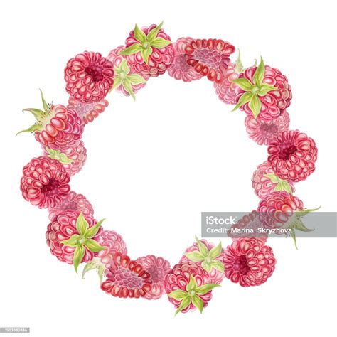 라즈베리 화환 익은 육즙이 많은 열매 흰색 배경에 수채화 그림입니다 액자 엽서 0명에 대한 스톡 벡터 아트 및 기타 이미지 0명 건강한 식생활 계절 Istock