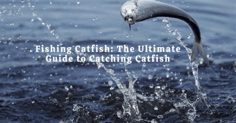 Fishing Catfish The Ultimate Guide To Catching Catfish