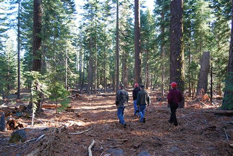 Sustained Yield Forestry Association Of Oandc Counties
