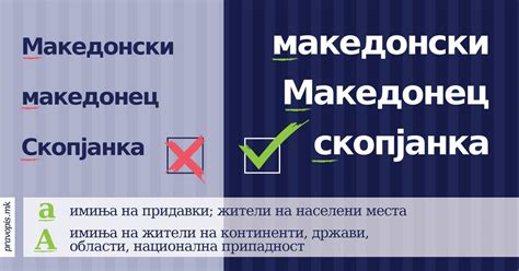 Правописот на македонскиот јазик конечно е онлајн достапен