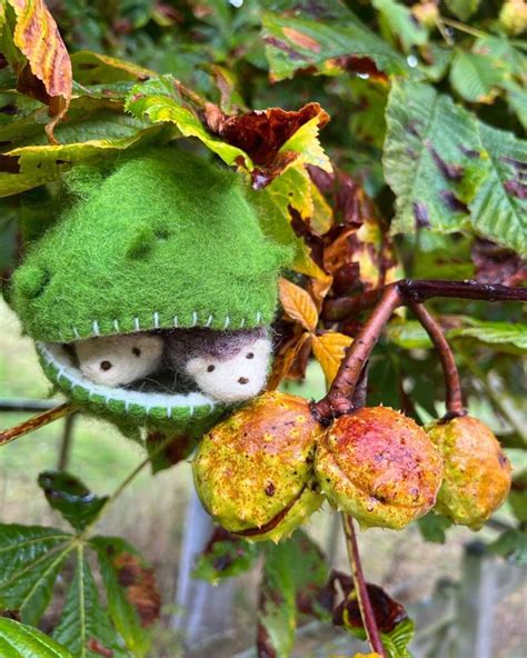 Садочок ВИШЕНЬКИ ЧЕРЕШЕНЬКИ подарункидітям садок соломянка Instagram