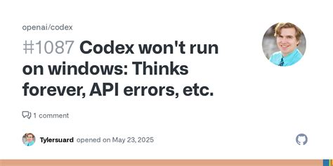 Codex Wont Run On Windows Thinks Forever Api Errors Etc · Issue 1087 · Openaicodex · Github