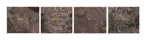 Sem And Thin Section Image Of Igneous Rock Sample Showing The Download Scientific Diagram