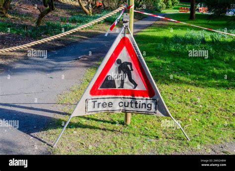Tree Cutting Sign Blocking A Path In A Country Park In County Down For Public Safety Stock Photo