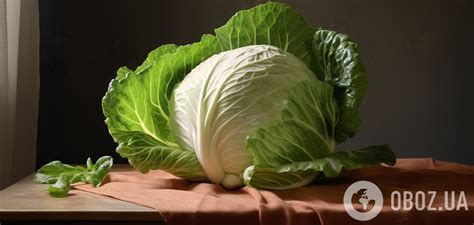 Як зберегти капусту до весни лайфхаки Oboz Ua