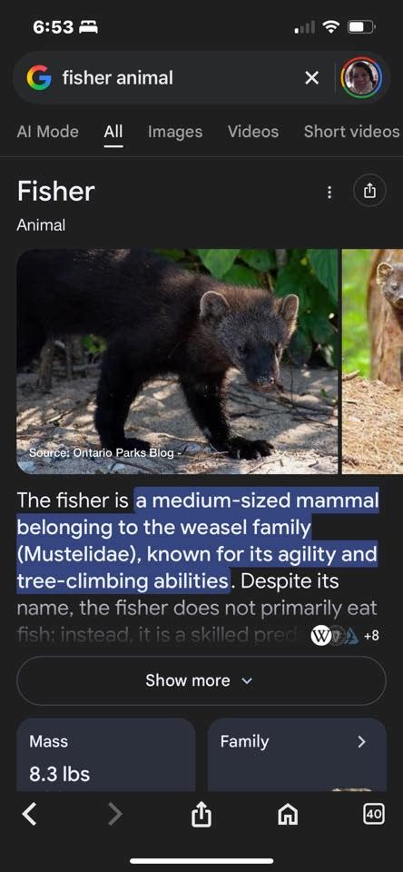 Anne Eisinger Swanger Added A New Anne Eisinger Swanger