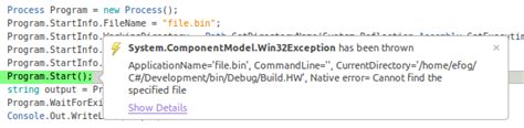 C Error While Executing Binary File Stack Overflow